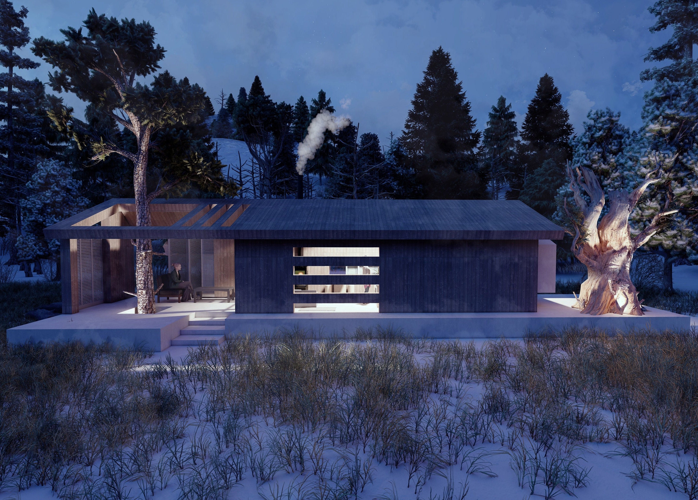 Custom Tiny House Design: Cabin Z Architectural Plans - Etsy