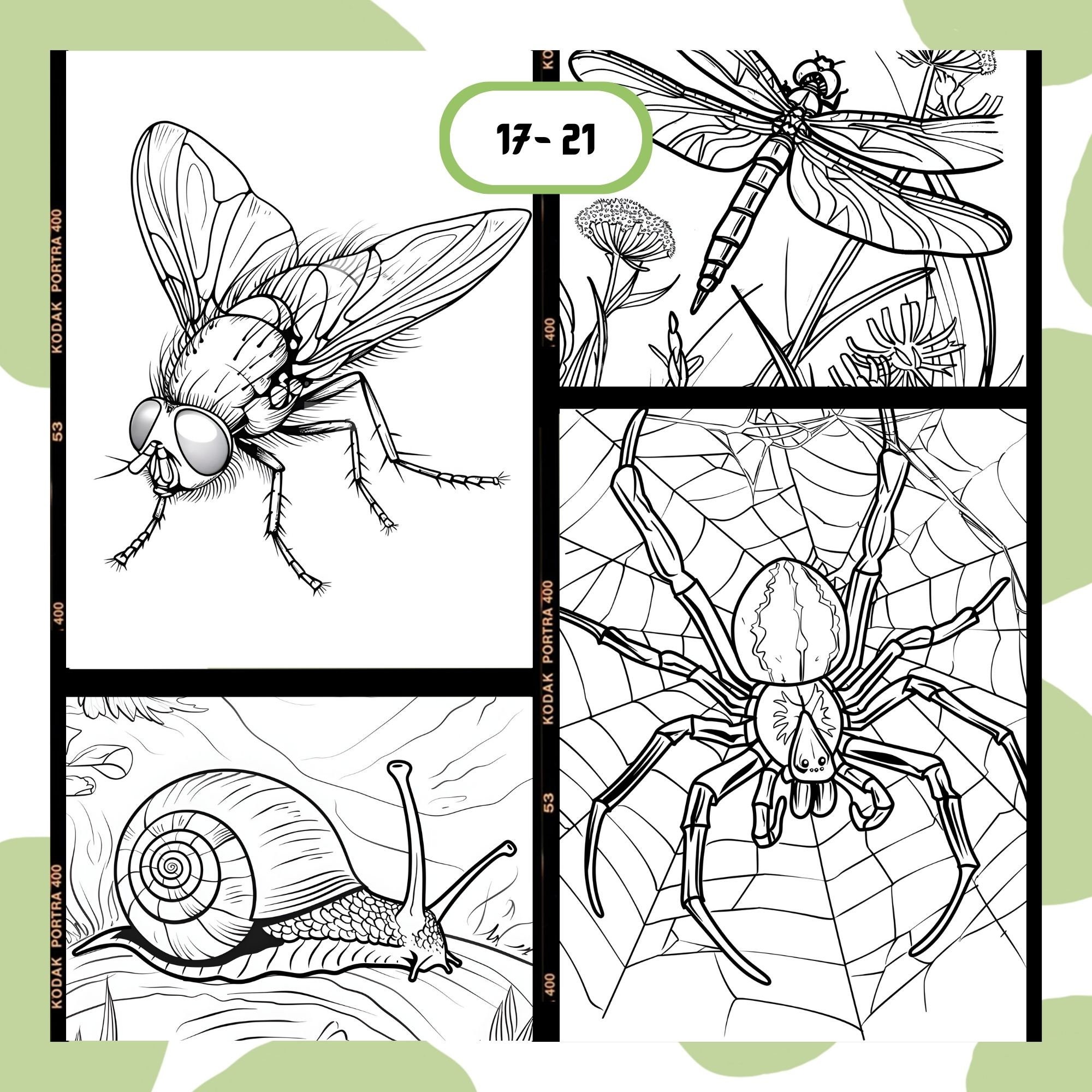 Insect Coloring Pages, Dragonfly Coloring Pages, Spider, Coloring Pages ...