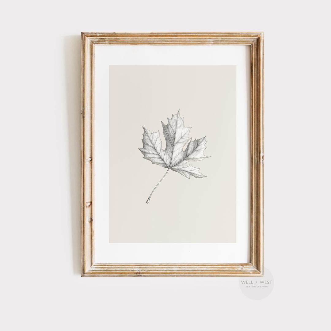 Fall Leaf Sketch Print | Vintage Style Maple Leaf Drawing | Autumn ...