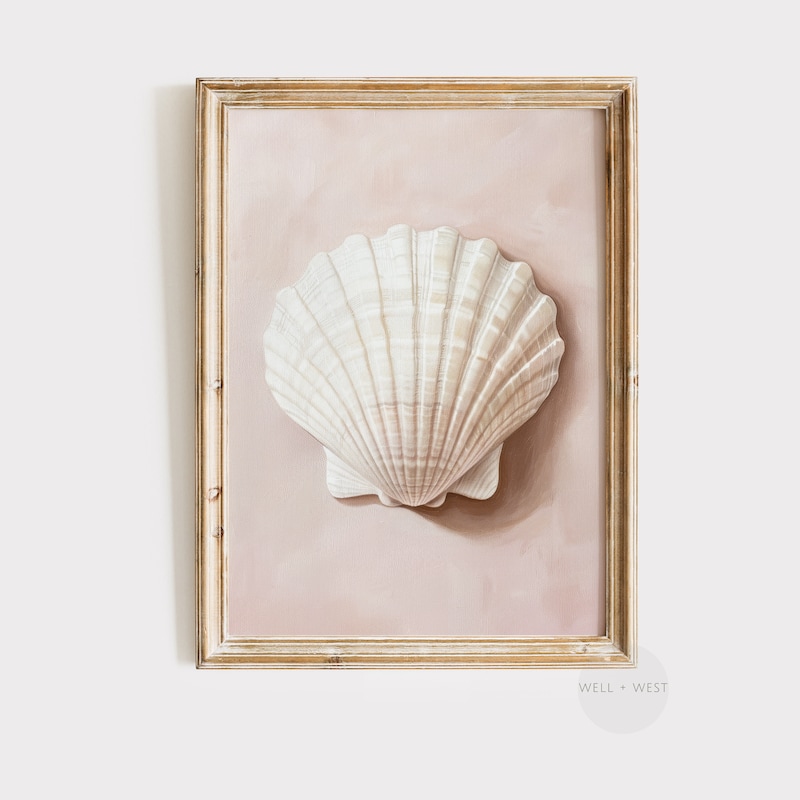 Pink Seashells - Etsy