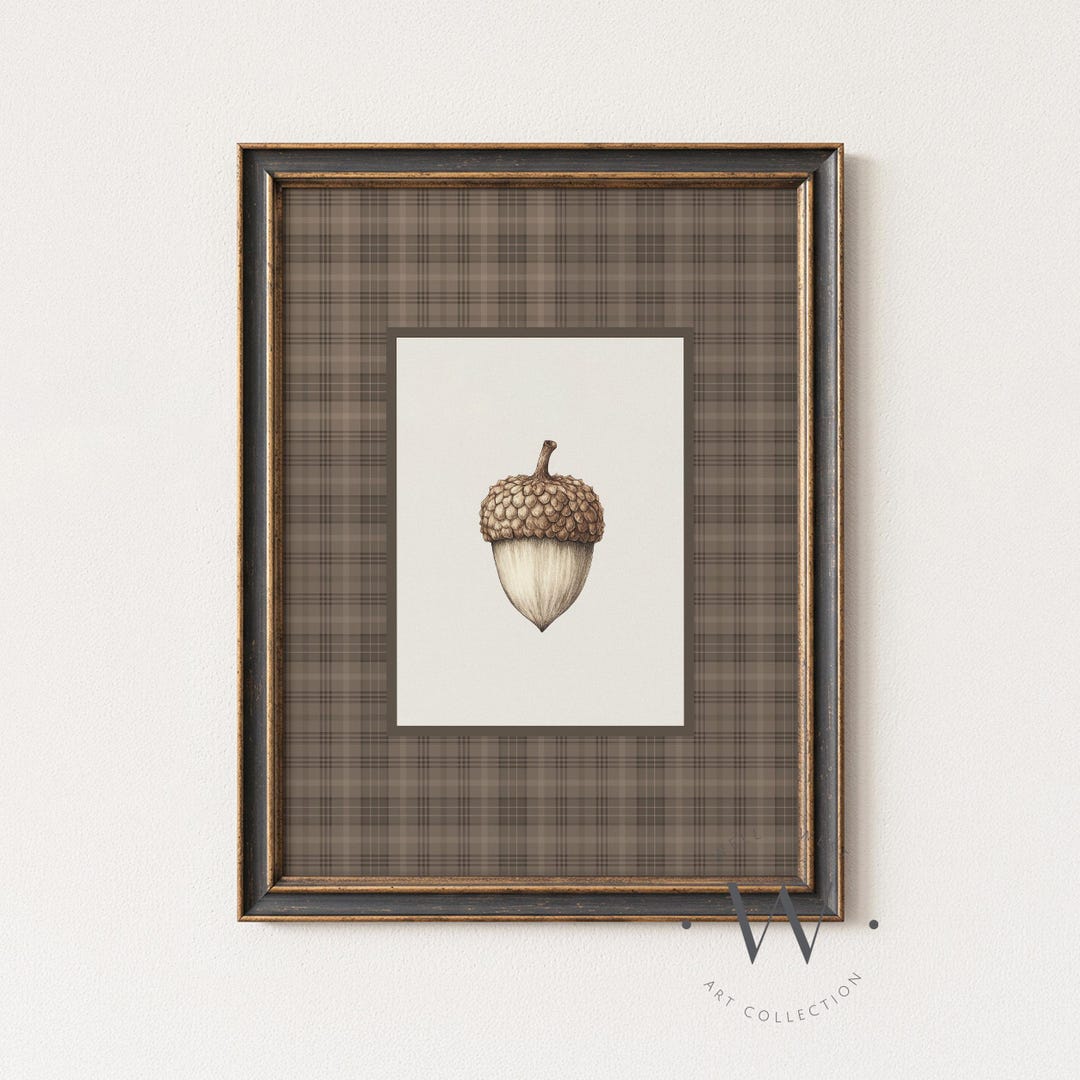 Acorn Print | Vintage Style Oaknut Illustration | Brown Plaid Neutral ...