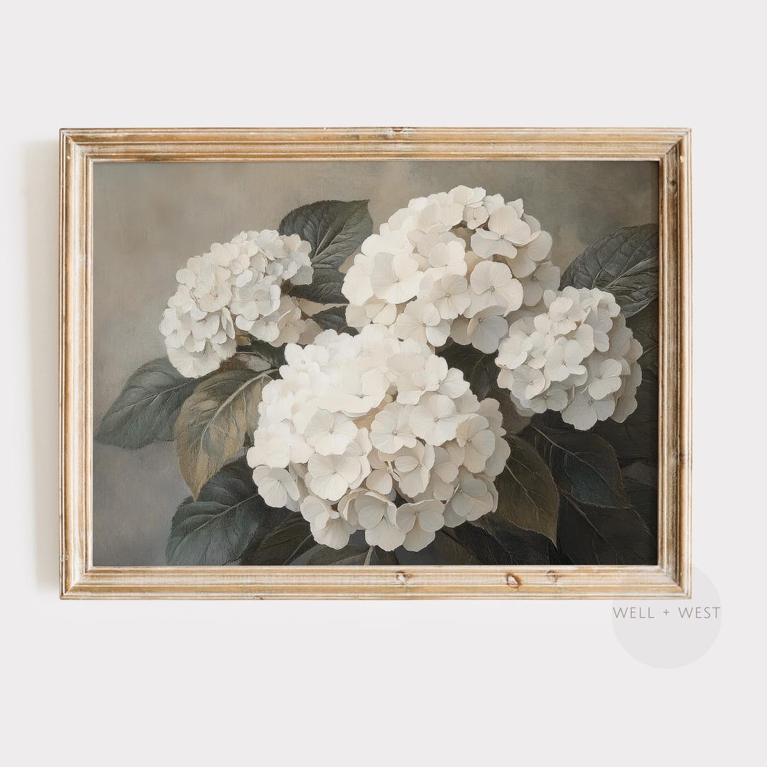 White Hydrangea Print | Vintage Style White Flower Painting | Living ...