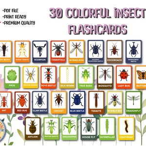 Bugs Insects Educational Montessori Flashcards, Preschool Toddler ...