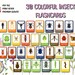 Bugs Insects Educational Montessori Flashcards, Preschool Toddler ...