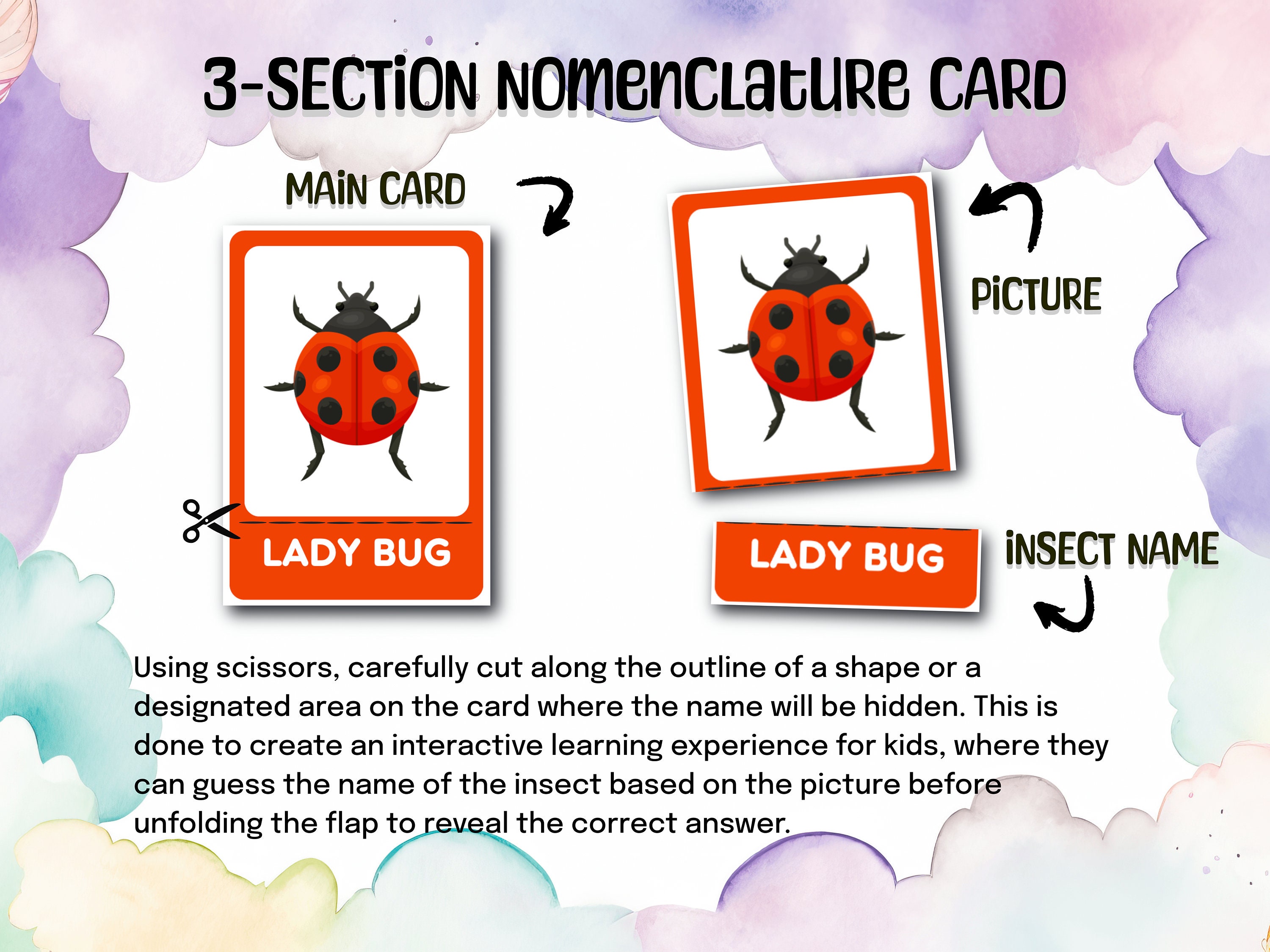 Bugs Insects Educational Montessori Flashcards, Preschool Toddler ...
