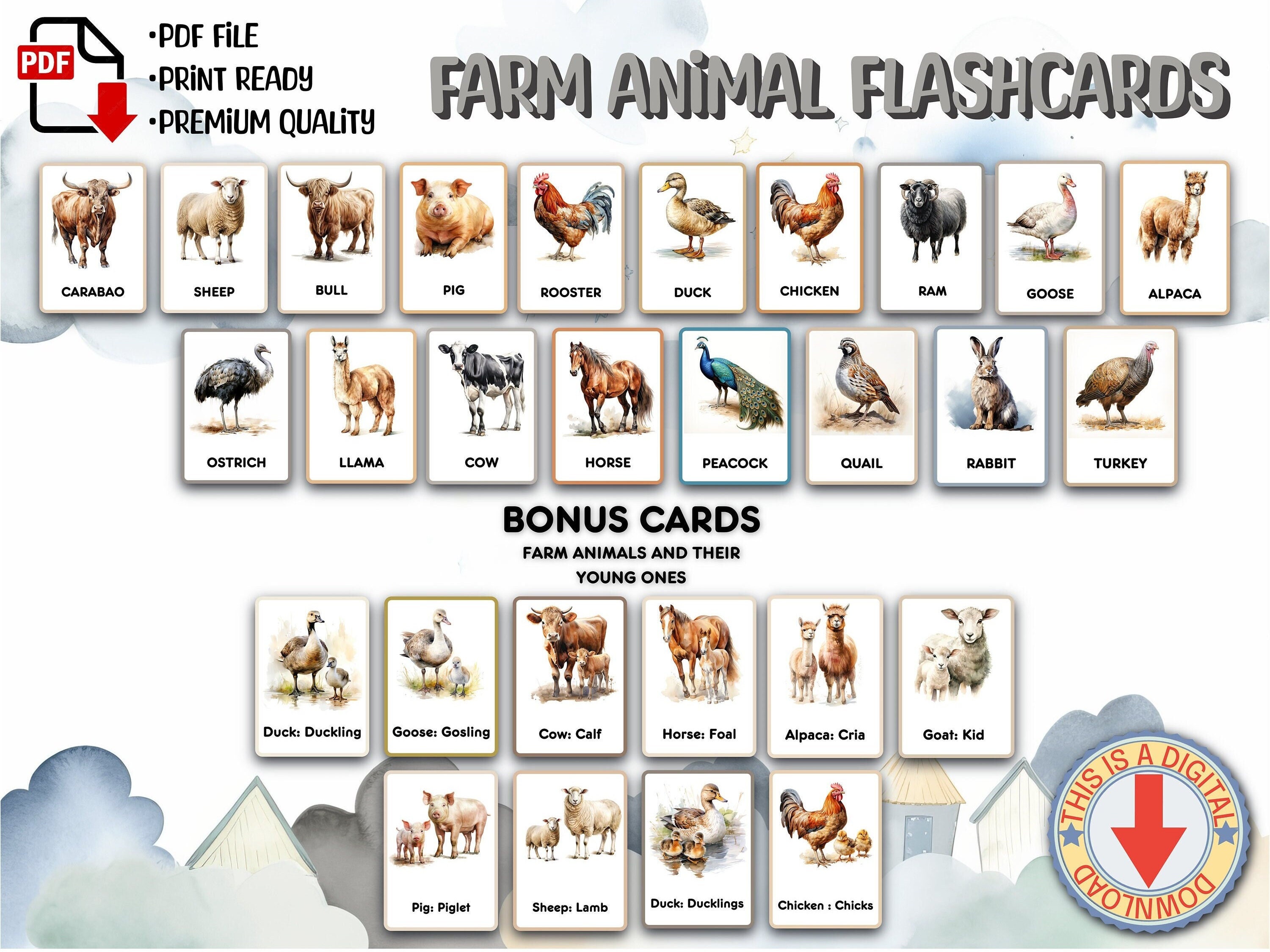 Farm Animals Editable Toy Flashcards, Education Learning Material ...