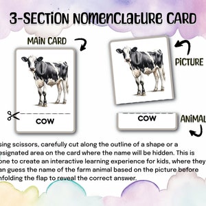 Farm Animals Editable Toy Flashcards, Education Learning Material ...