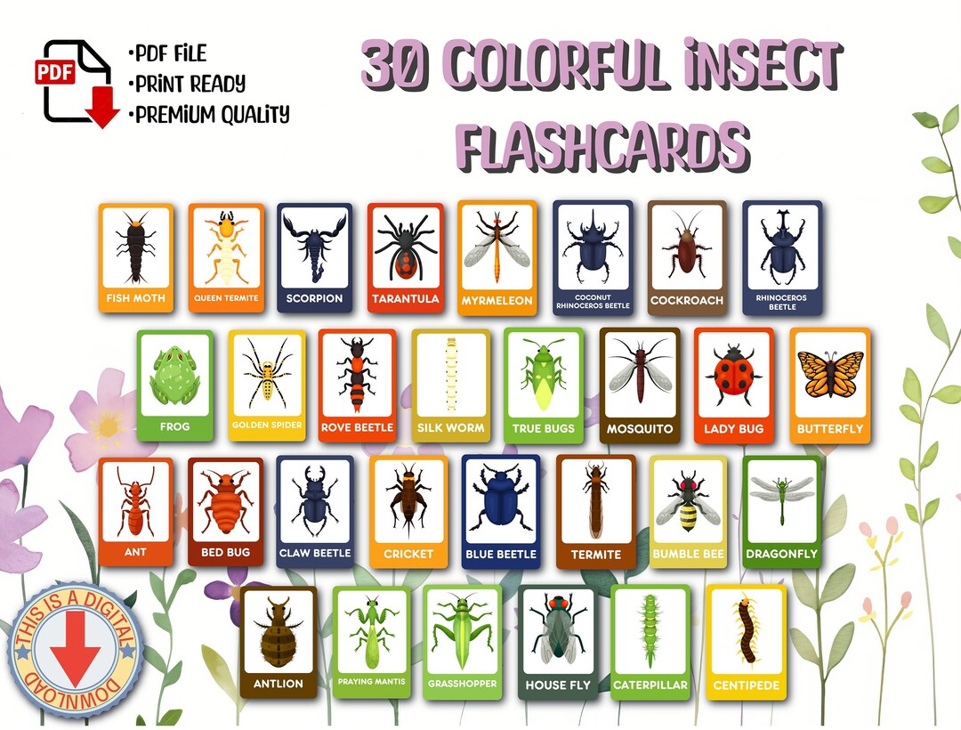 Bugs Insects Educational Montessori Flashcards, Preschool Toddler ...