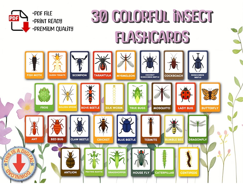 Bugs Insects Educational Montessori Flashcards, Preschool Toddler ...