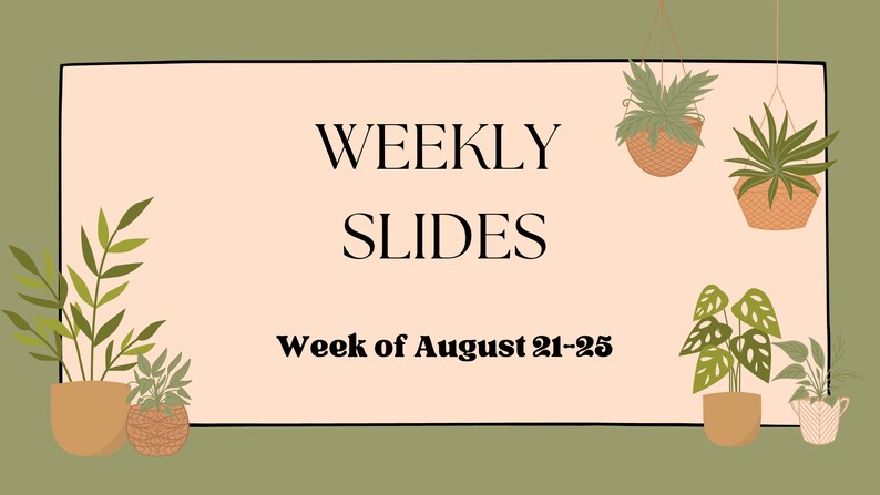 Editable Weekly Lesson Slides L Weekly Agenda L Boho Classroom - Etsy