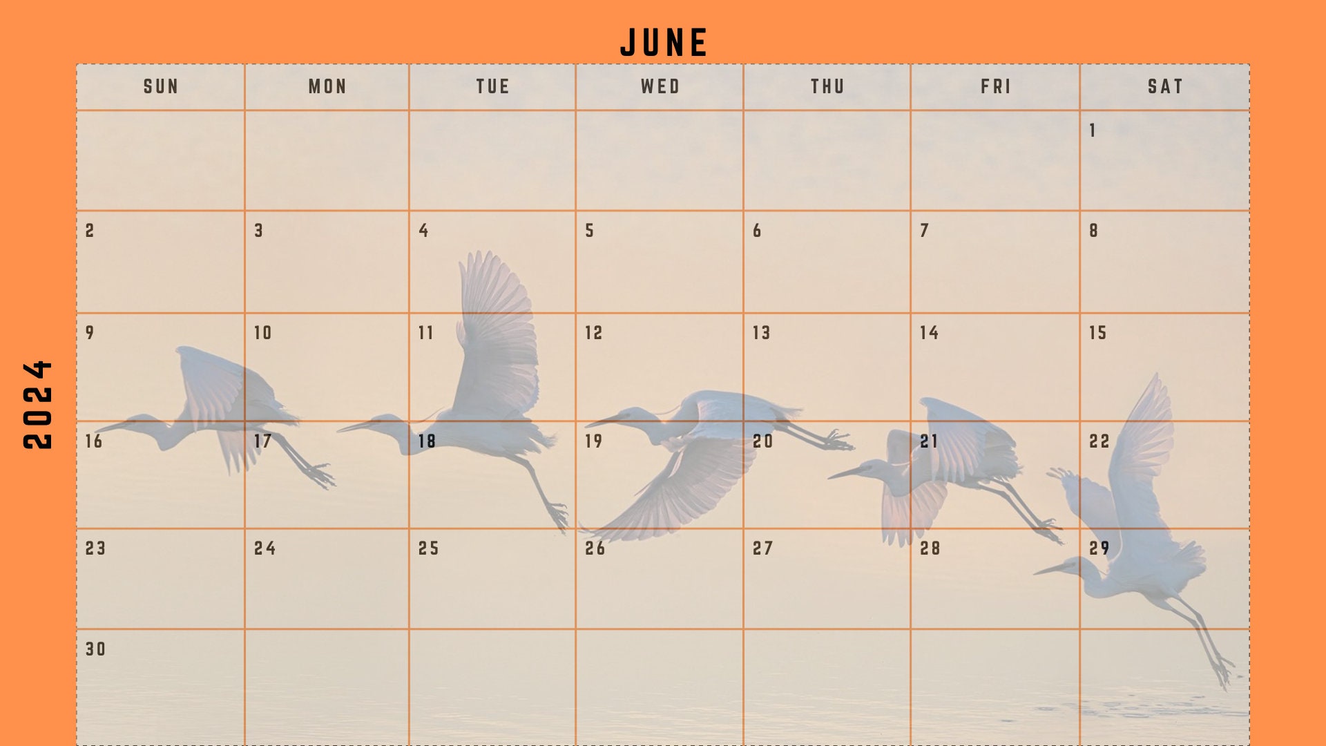 2024 Wild Animals Calendar - Etsy Australia