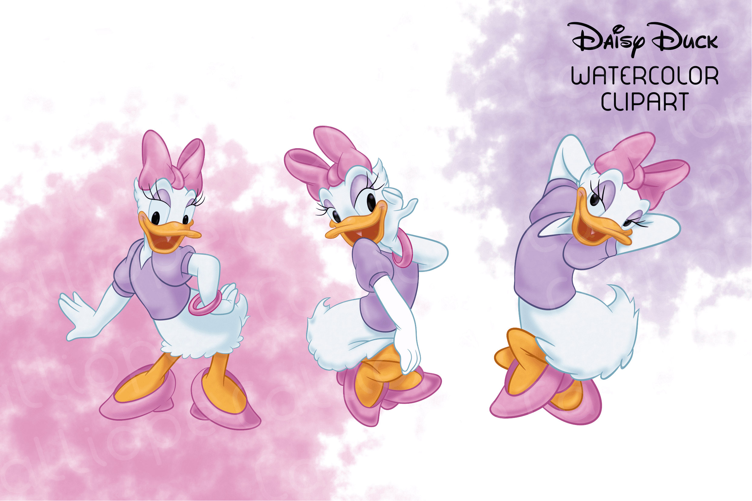 Daisy Duck