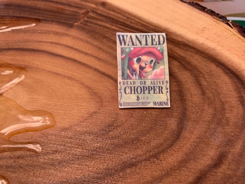 One Piece Wanted Poster Pins Shrinky Dinks- Luffy, Zorro, Nami, Usopp ...