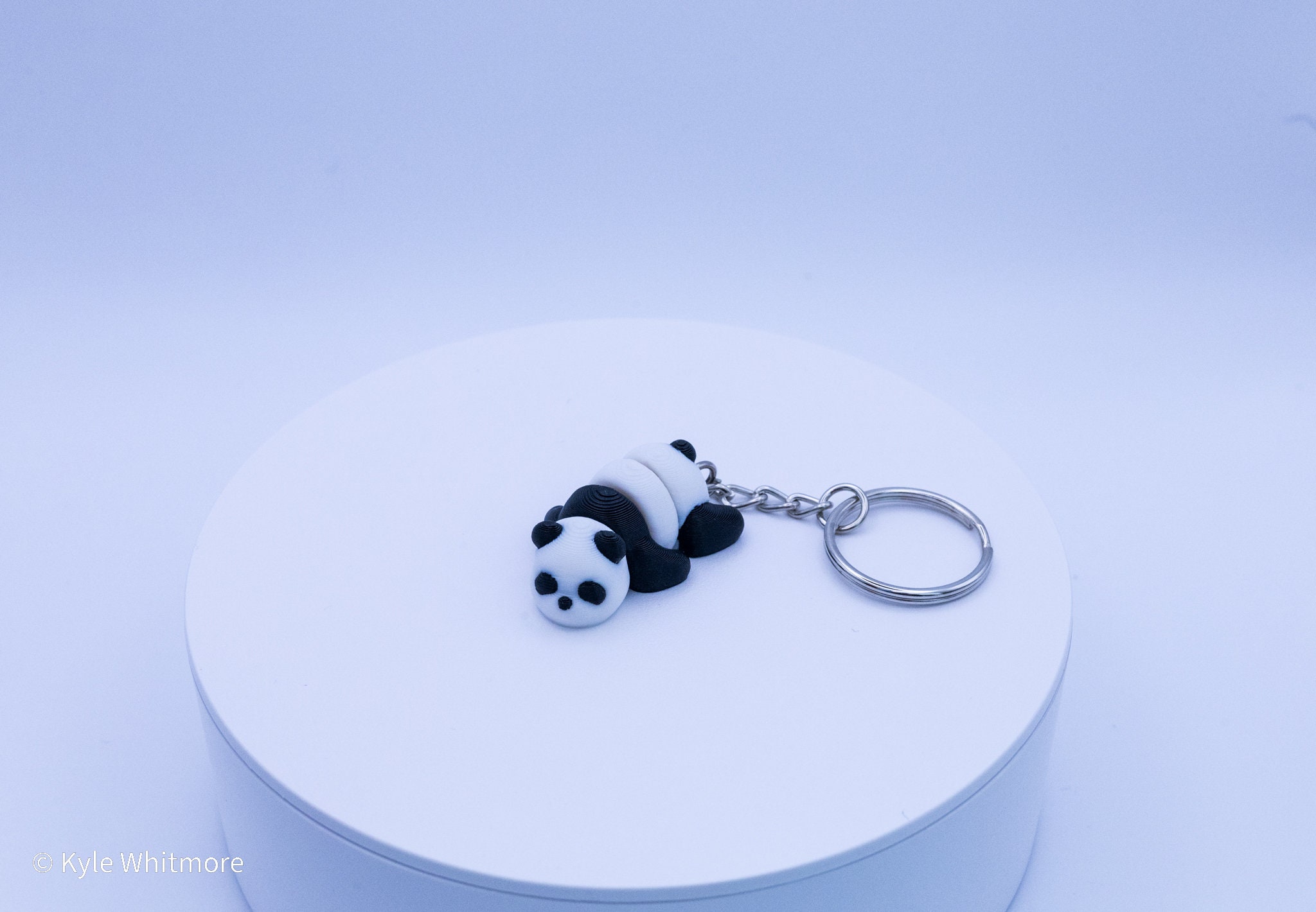 Adorable Baby Panda Flexible Keychain - Fun Fidget Toy - Unique 3D ...