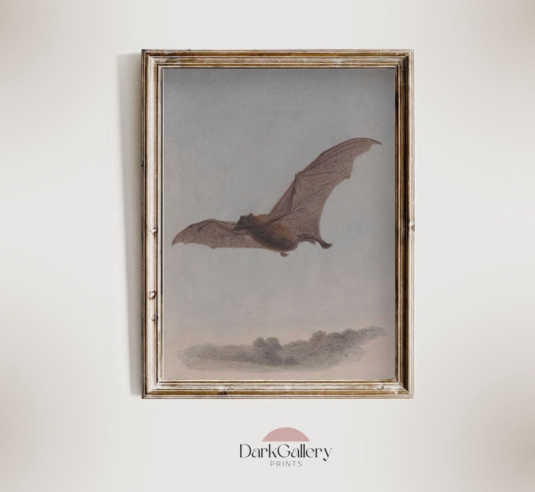 Antique Vampire Bat Painting Digital Print Dark Academy Cottagecore ...