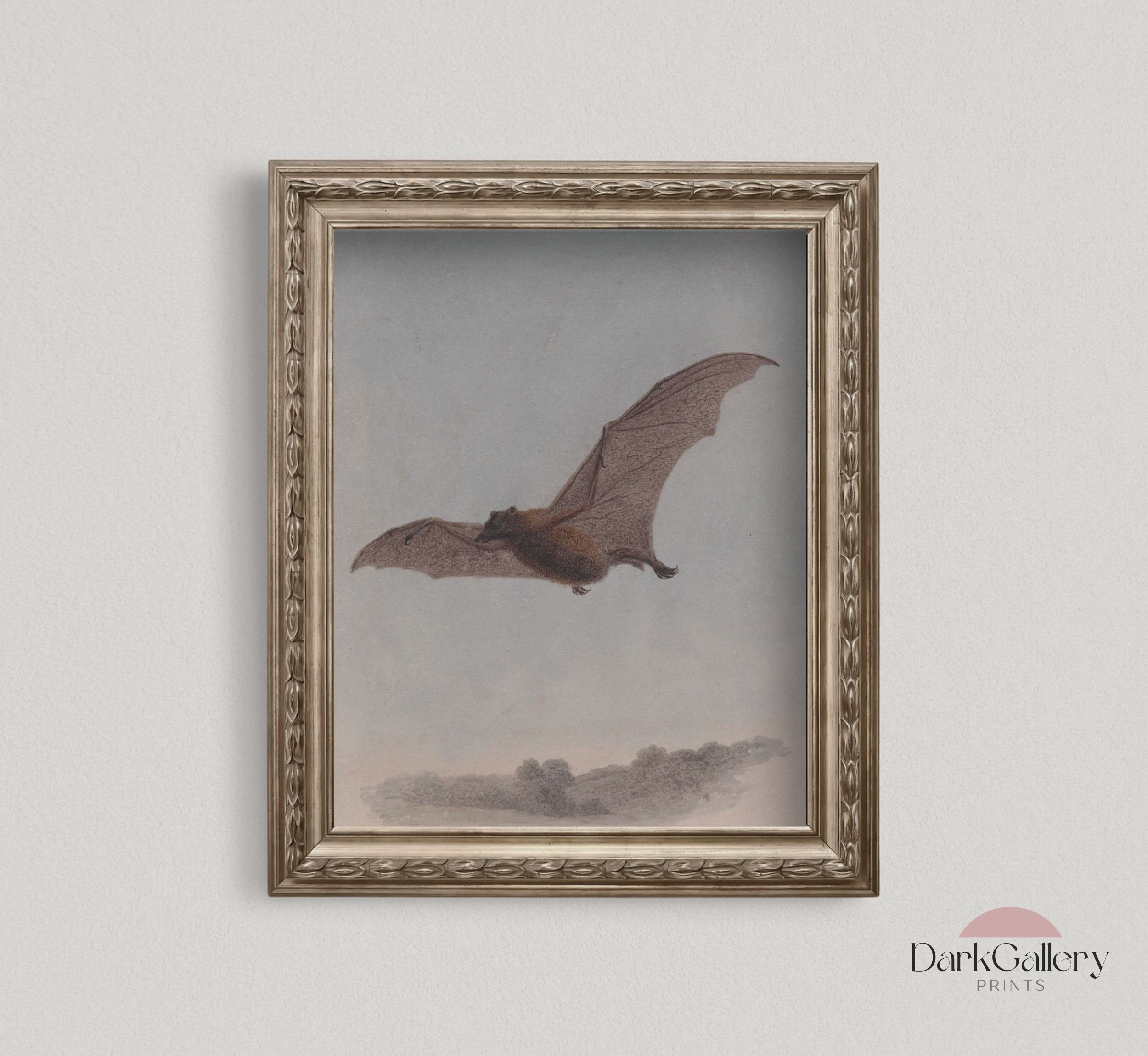 Antique Vampire Bat Painting Digital Print Dark Academy Cottagecore ...