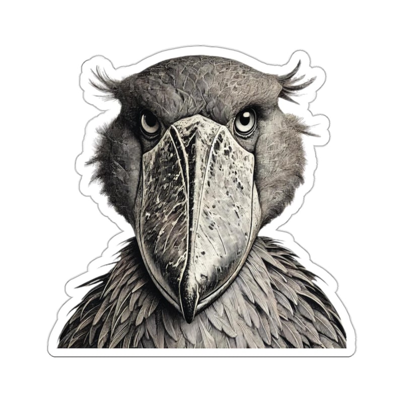 Shoebill Stork Etching Sticker: Dinosaur Bird Vinyl Decal - Etsy