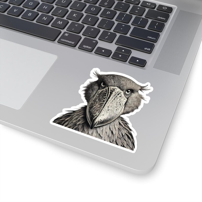 Shoebill Stork Etching Sticker: Dinosaur Bird Vinyl Decal - Etsy