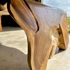 Unveiling Nature's Majesty: Exotic Wood, Chainsaw Crafted -waterfall L ...