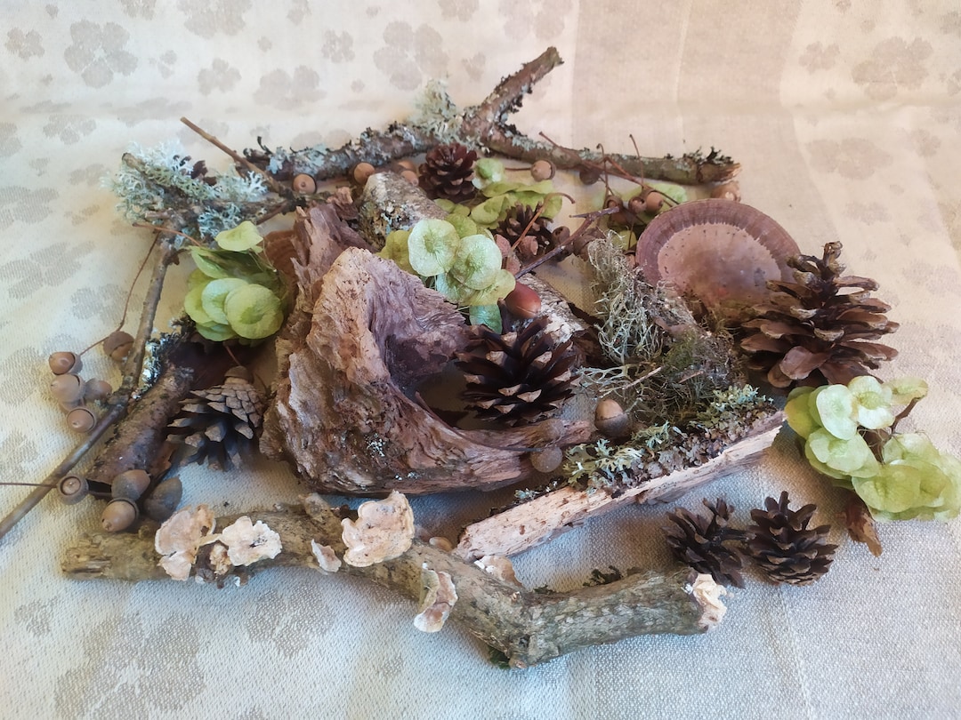 Natural Craft Supply Kit - Forest-inspired Decorations - Etsy Australia