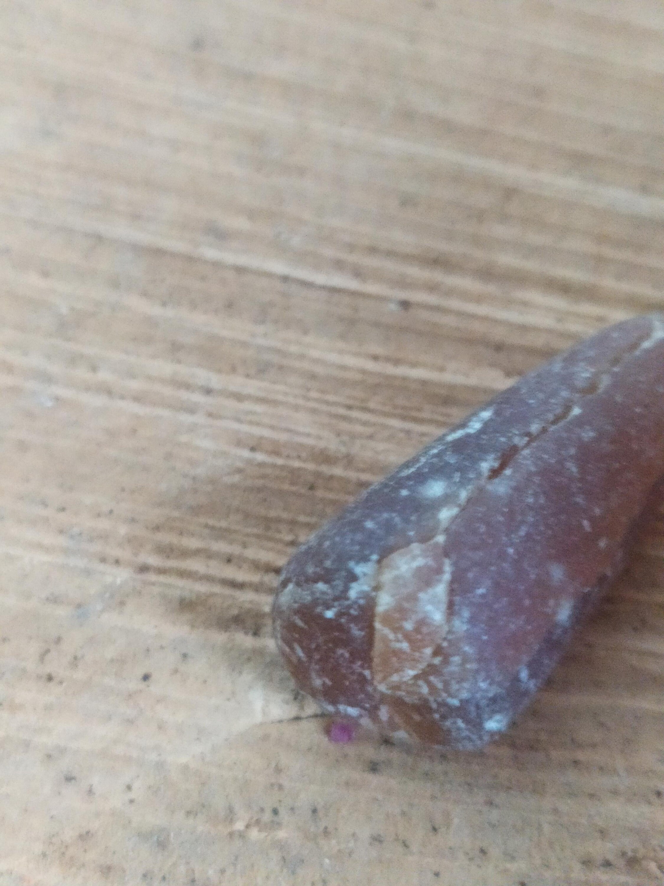 Jurassic Belemnite Fossil - Lower Lias Collection - Authentic ...