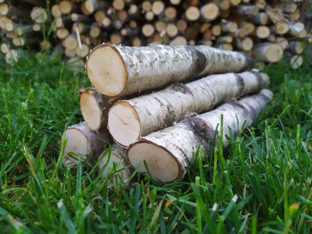 Natural Baltic Birch Logs and Sticks for Fireplace Decor and Crafts - Etsy