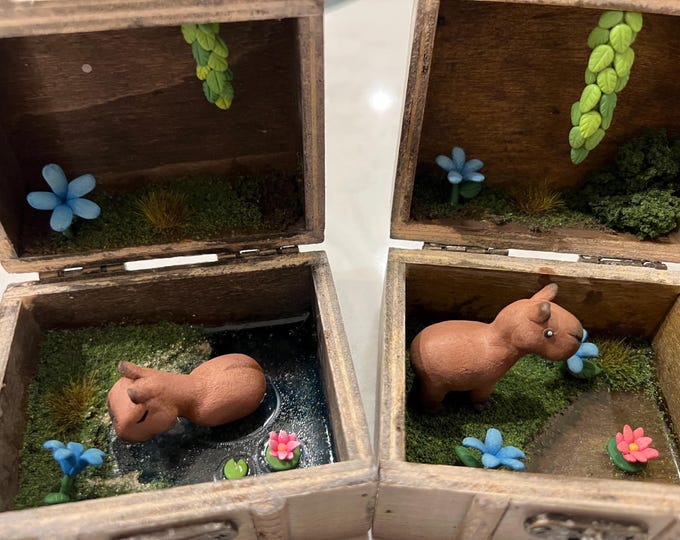 Capybara in Water Hole Small/medium Box - Etsy
