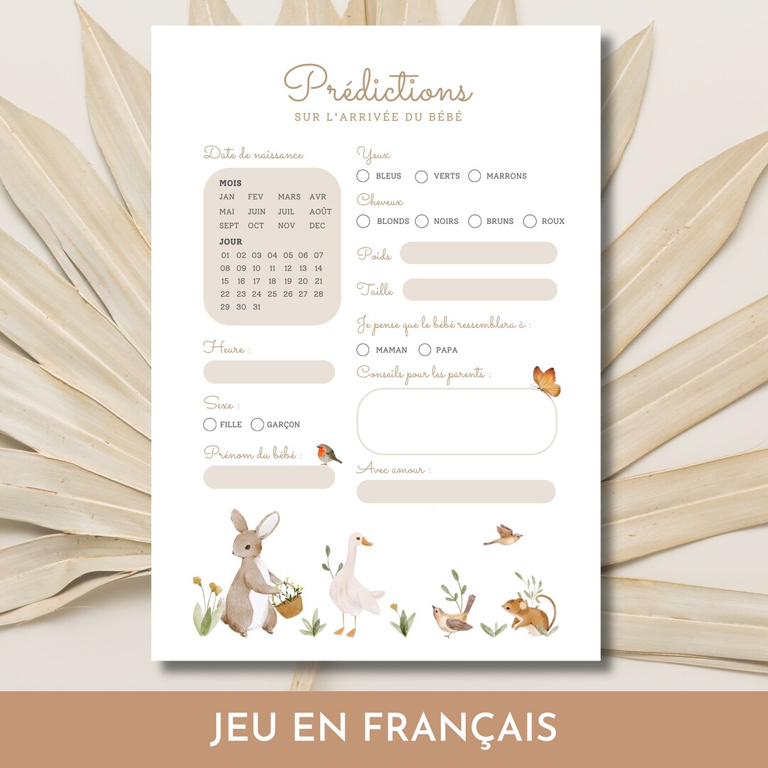 Jeu Prédictions Carton Prédiction Shower De Bébé En Français Naissance ...