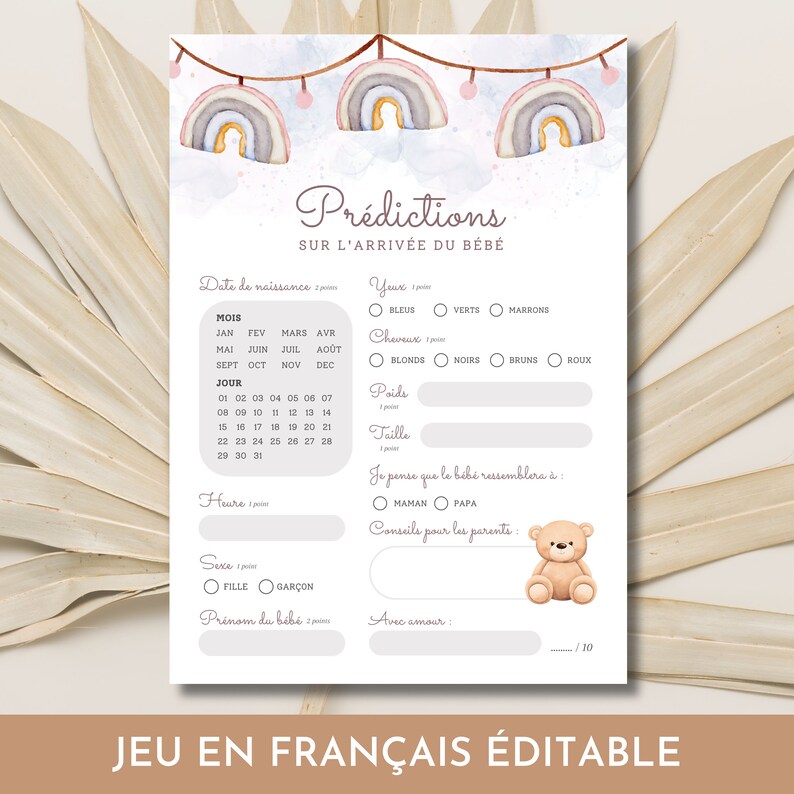 Jeu Prédictions Carton Prédiction Shower De Bébé En Français Naissance ...