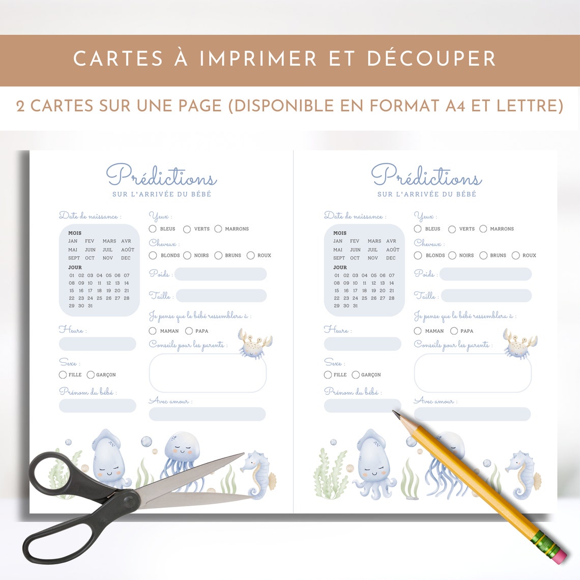 Jeu Prédictions Carton Prédiction Shower De Bébé En Français Naissance ...