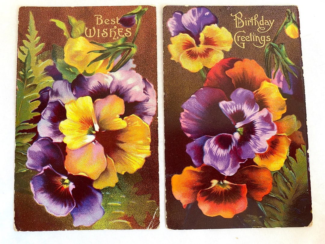 Set of 2 Victorian PANSIES POSTCARDS | Antique “birthday Greetings ...