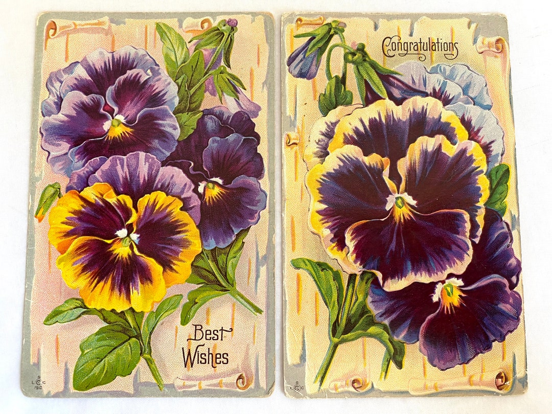 Set of 2 Victorian Purple PANSIES POSTCARDS | Antique “congratulations ...