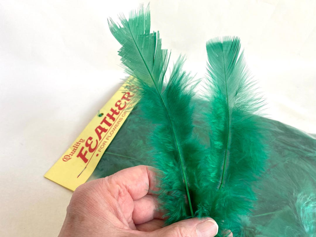 Vintage GREEN Assorted Sizes FEATHERS | 1/4 Oz Rainbow Feather Dyeing ...