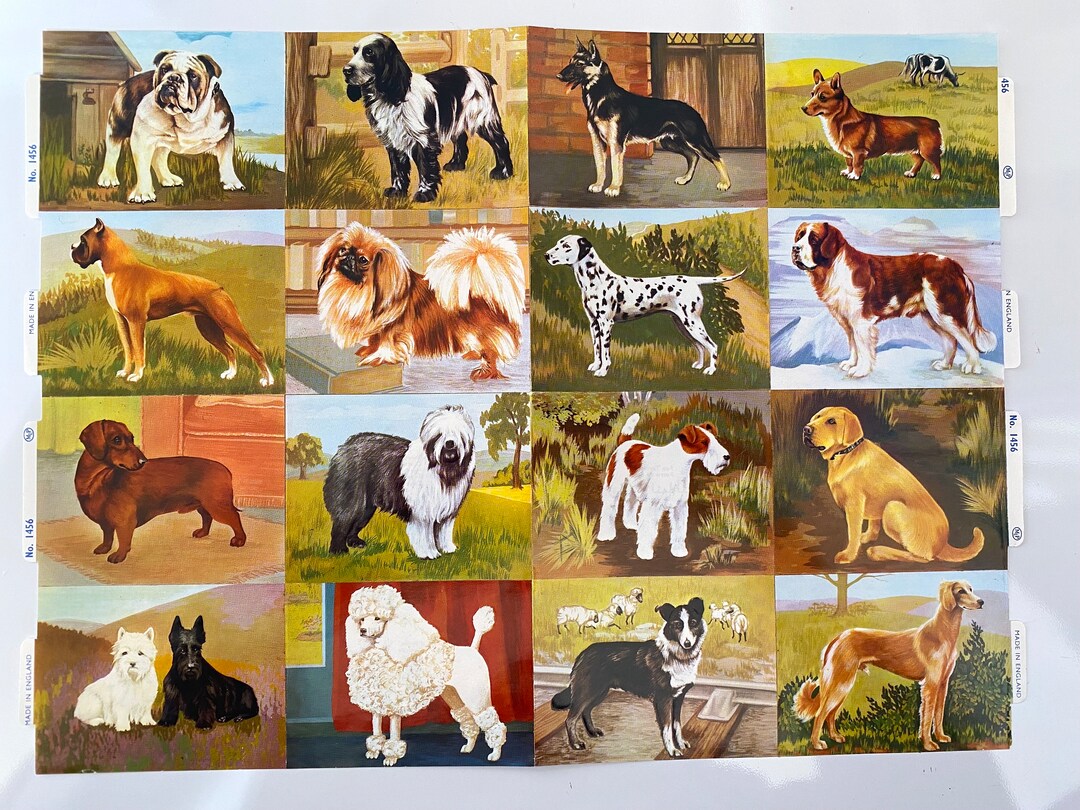 Vintage Dog Breeds Die Cut Embossed SCRAP | Mamelok Press Victorian ...