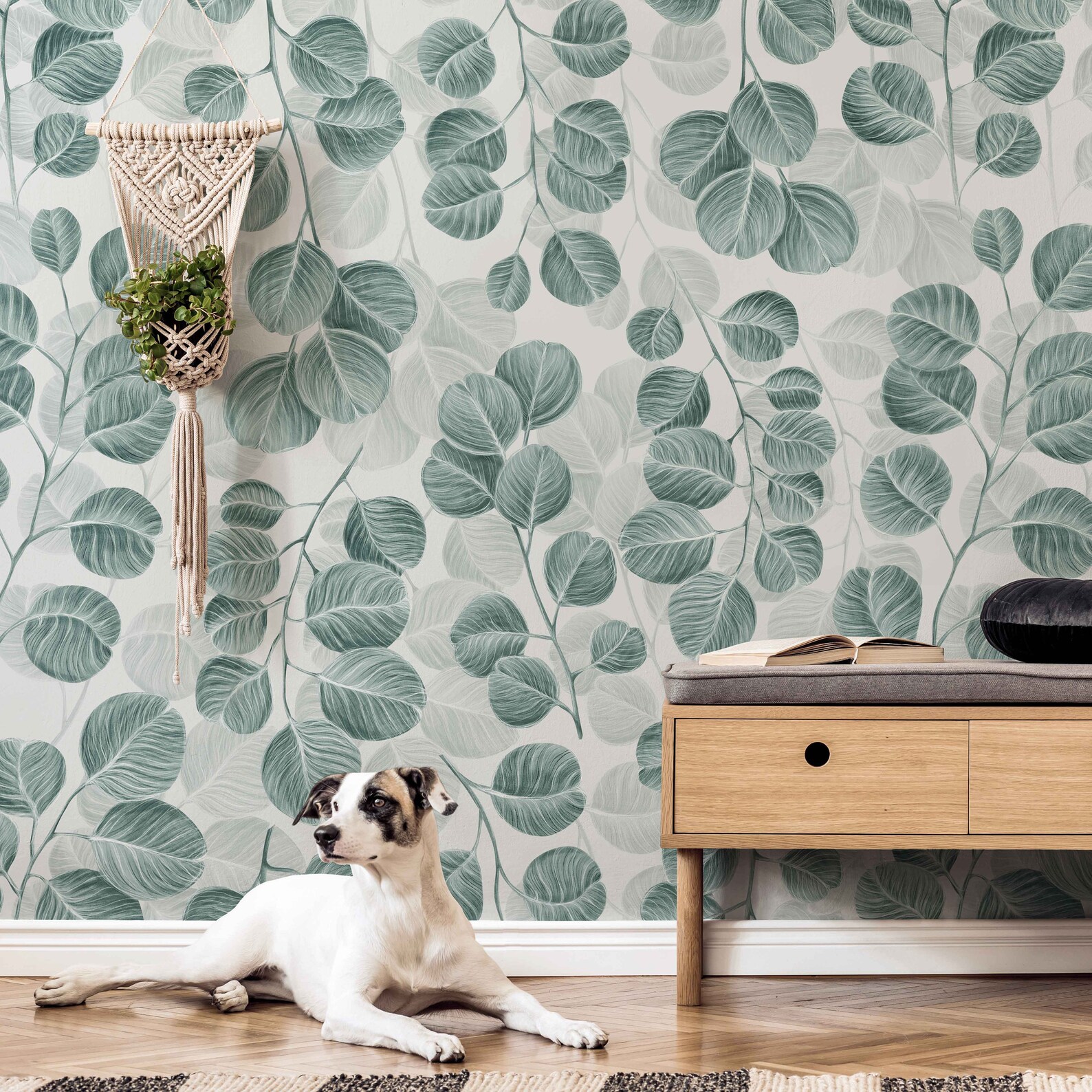 Leaf Eucalyptus Green Boho Wallpaper Leaf Wallpaper Peel and - Etsy