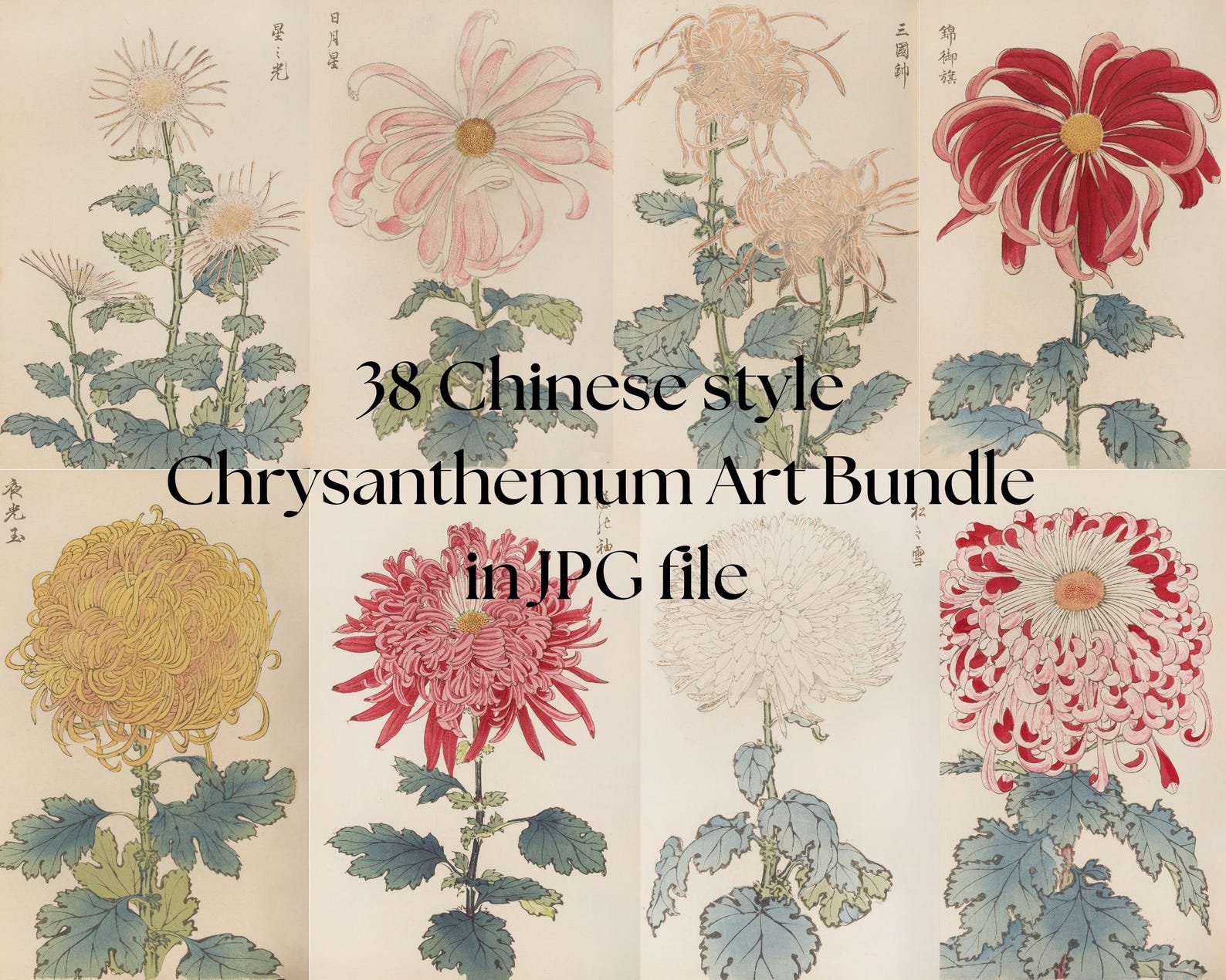38 Chinese Style Chrysanthemum Art Bundle|flower Chinese Design|chinese ...