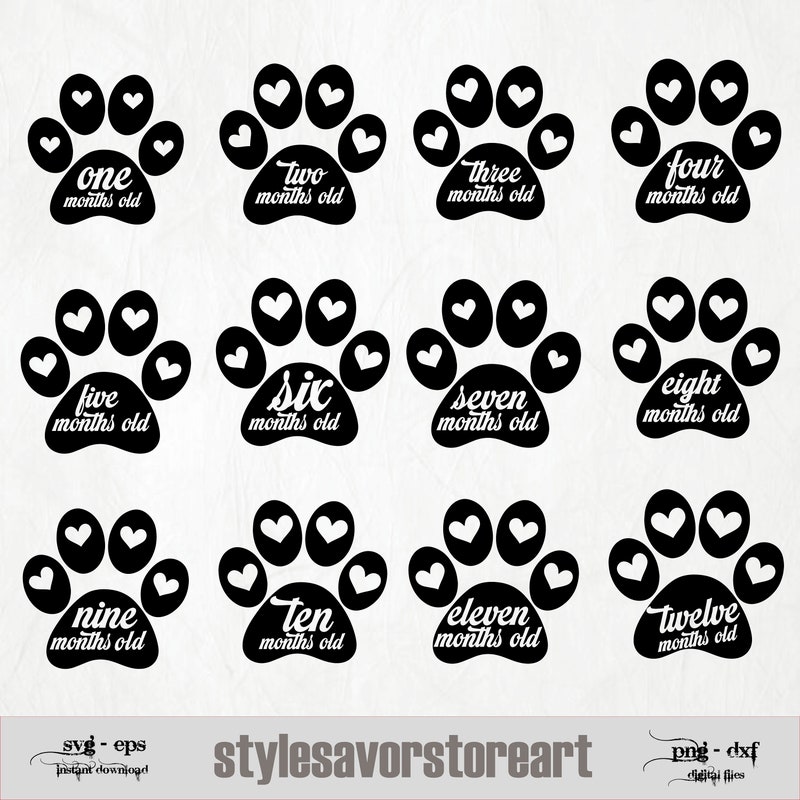 Baby Monthly Milestone Svg - Etsy