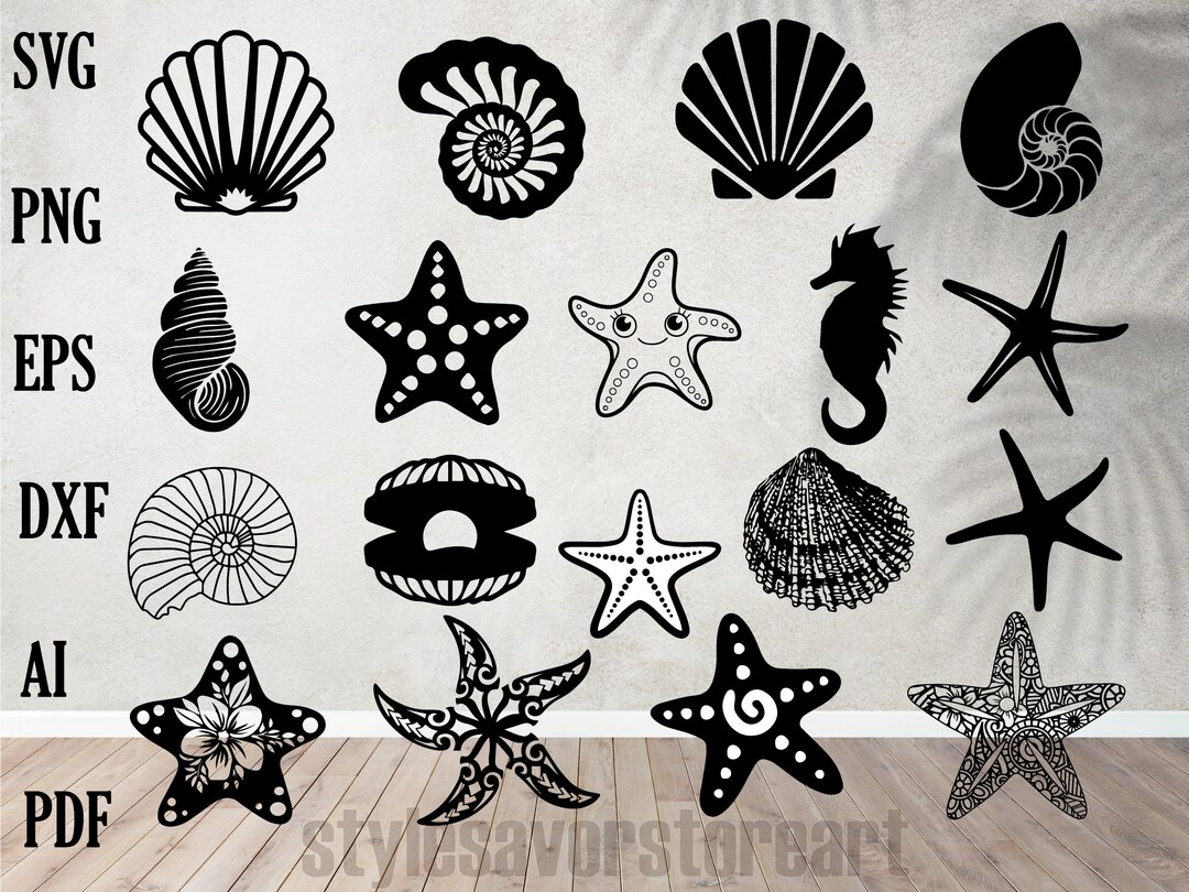 Seashell SVG Bundle, Seashell PNG Bundle, Seashell Clipart, Seashell ...