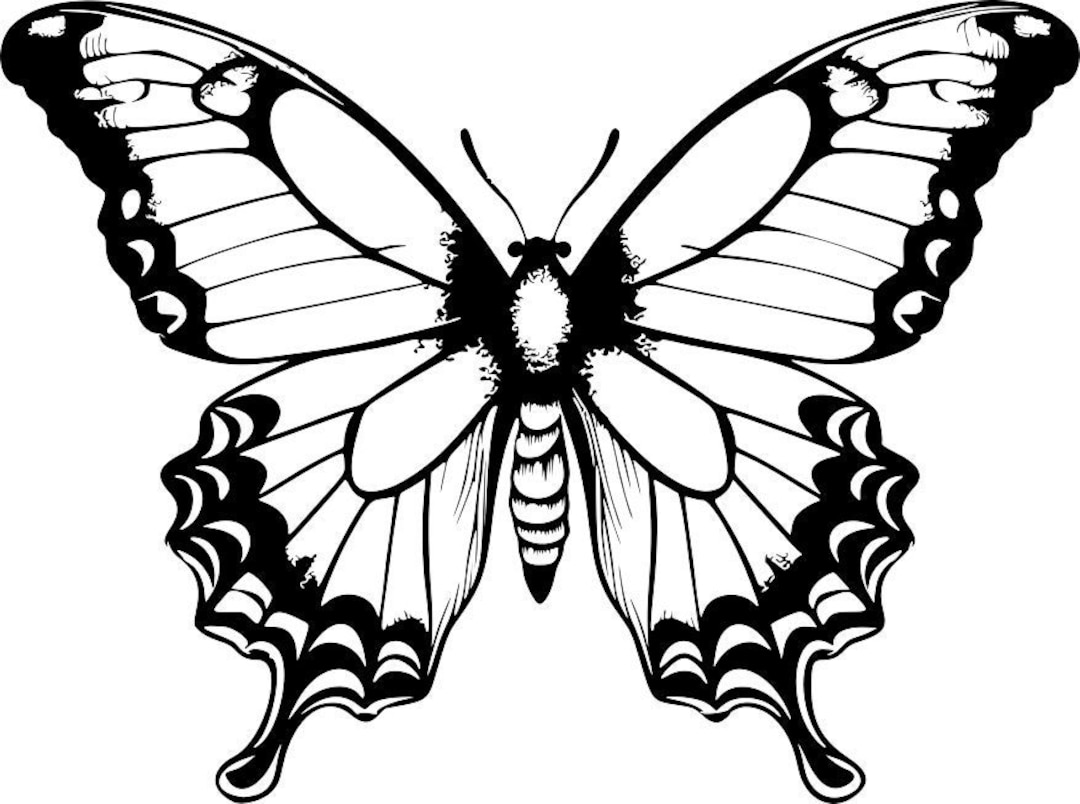 High-quality Butterfly SVG & Lightburn File for Laser Engraving ...