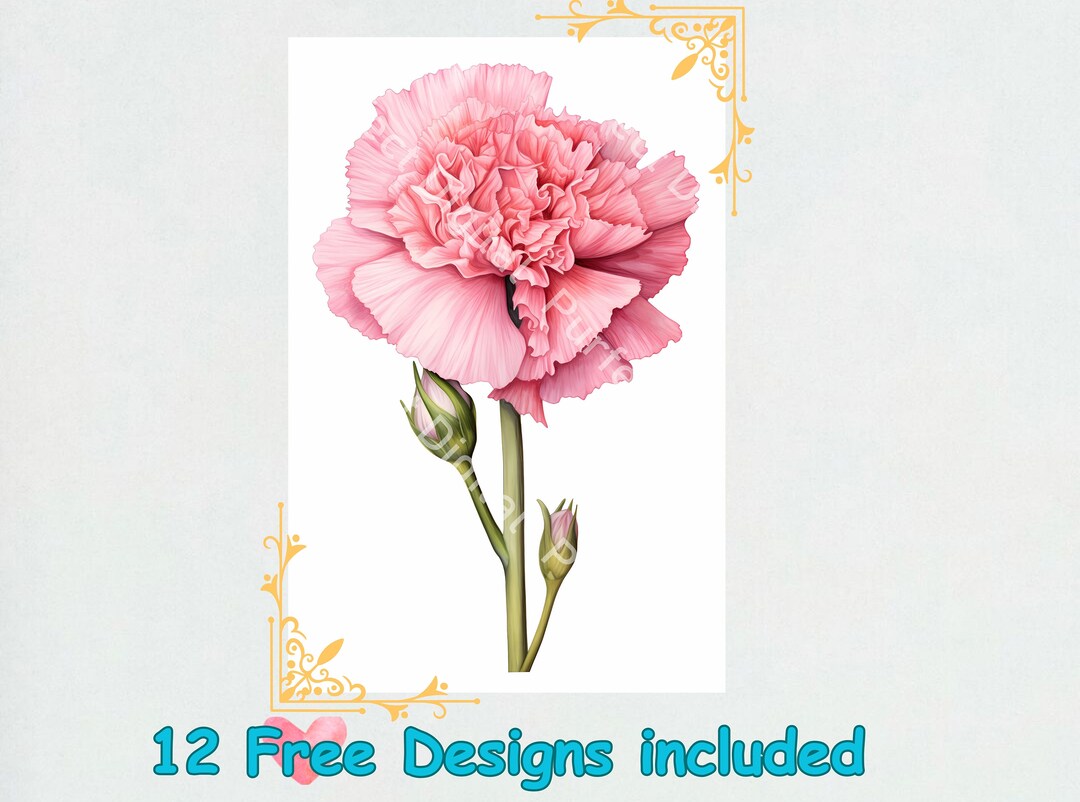 Pink Carnation Watercolor Clipart Bundle 17 High Quality JPG - Floral ...