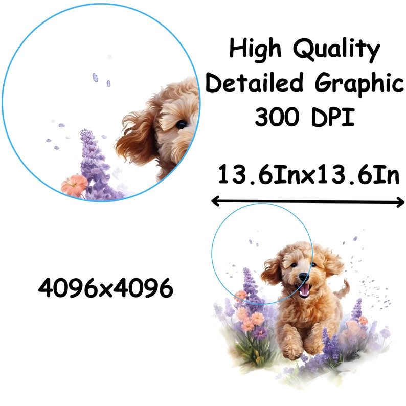 39 Poodle Puppy Watercolor Summer Adventure Time Watercolor Summer ...