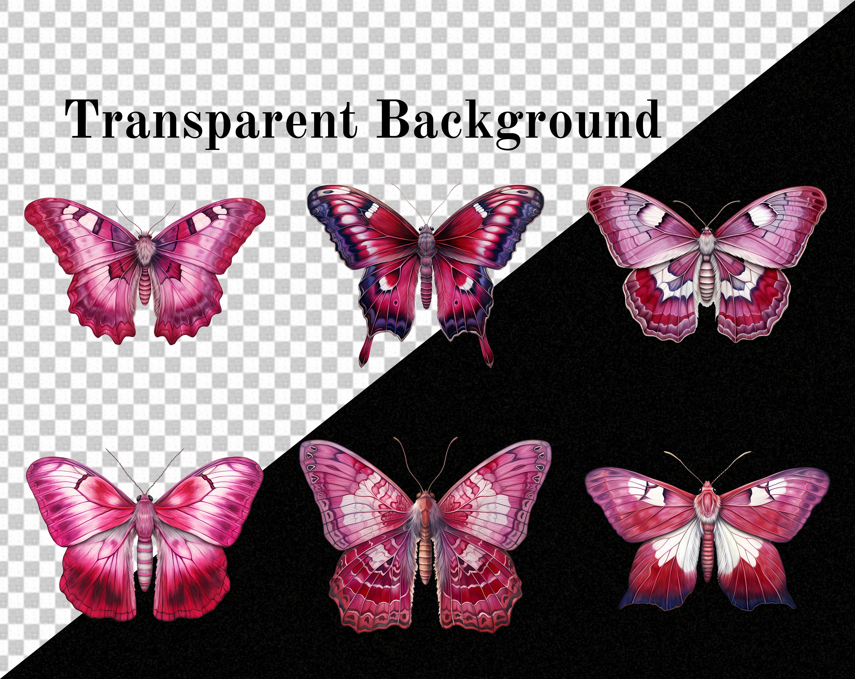 34 Pink Moth Watercolor Clipart Bundle-watercolor Moth Crimson PNG ...