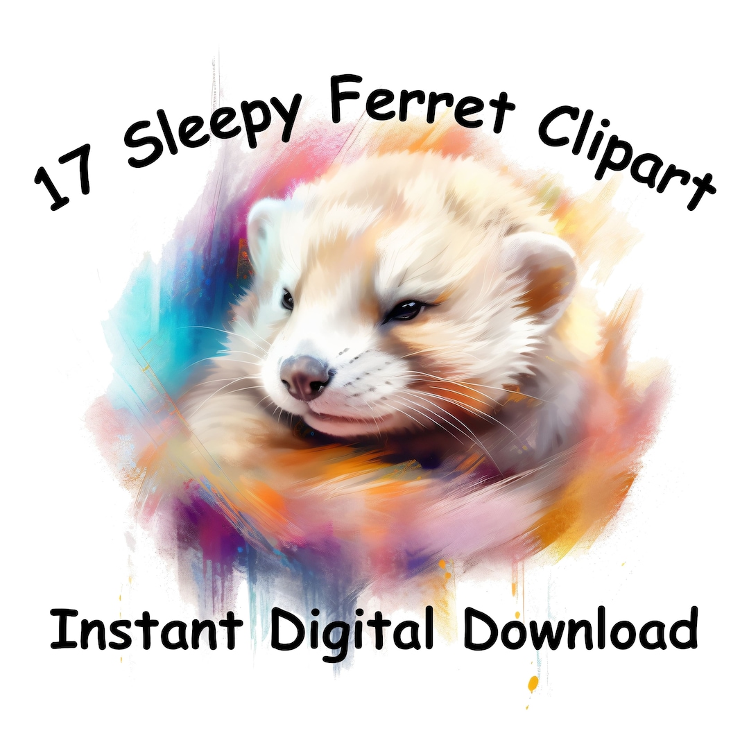17 Sleepy Ferret Watercolor Ferret Clipart Watercolor Clipart Digital ...