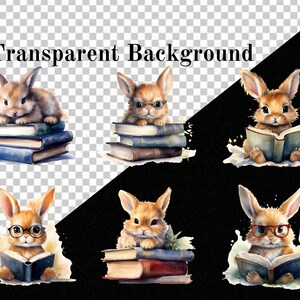 26 PNG Baby Bunny Rabbit Watercolor Booklover Clipart Bundle, Reading ...
