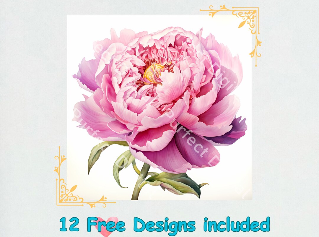 Pink Peony Watercolor Clipart Bundle 33 High Quality JPG - Floral ...