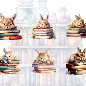 26 PNG Baby Bunny Rabbit Watercolor Booklover Clipart Bundle, Reading ...