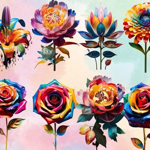 53 Rainbow Color Flower Watercolor Clipart Bundle-watercolor Floral ...