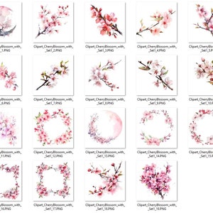 Cherry Blossom Watercolor Clipart Watercolor Clipart Digital Download ...