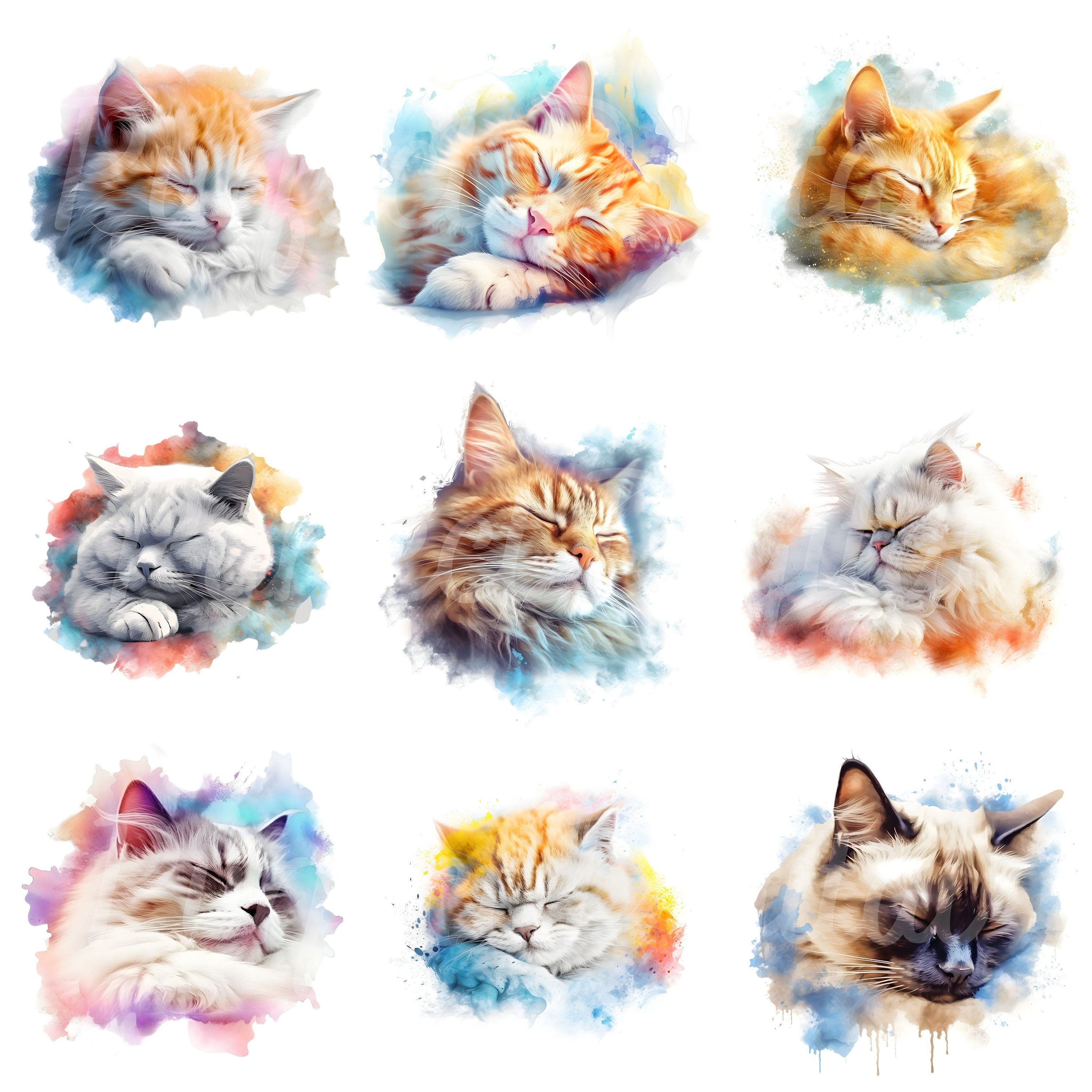 10 Sleepy Cat Watercolor Cat Clipart Watercolor Clipart - Etsy