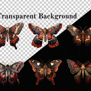 35 Red Moth Watercolor Clipart Bundle-watercolor Moth Gothic PNG ...